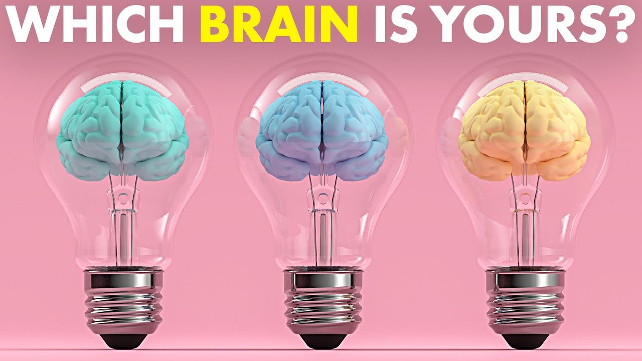 There Are 5 Different Brain Types: Here’s What Your Type Says About You ...